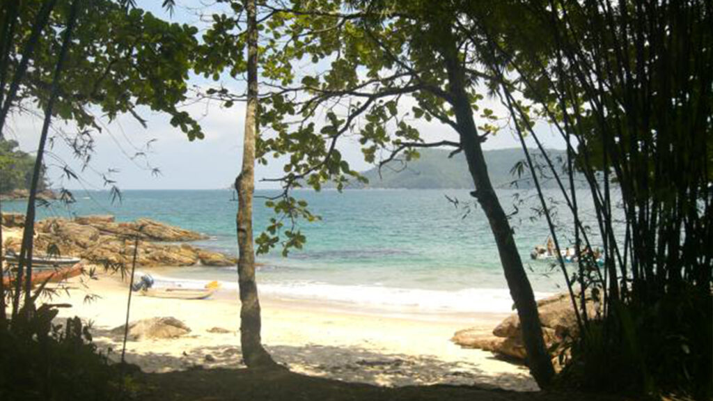 🌿 Trilha da Praia do Cedro do Sul: o paraíso escondido entre mar e mata ...